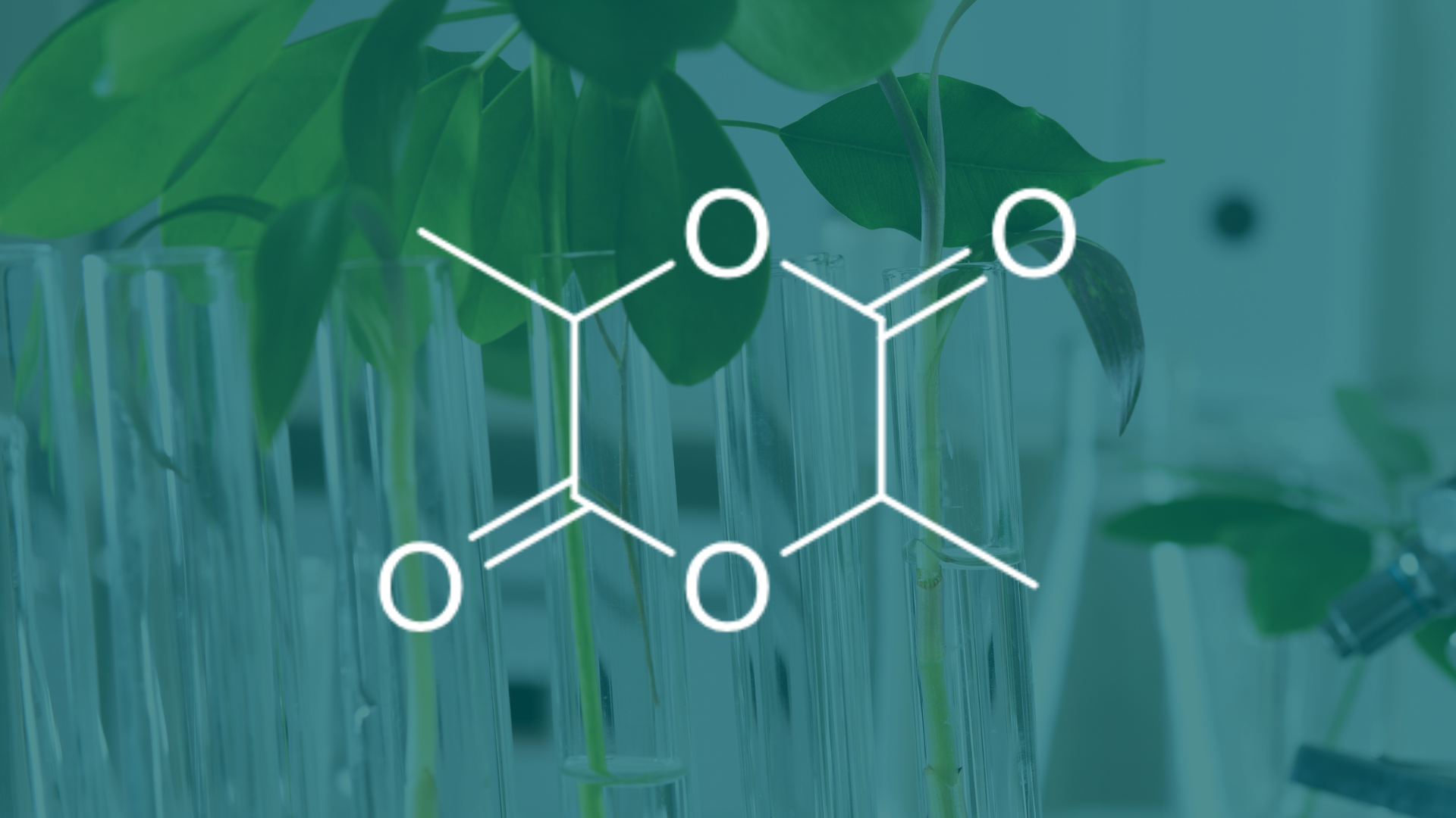 Futeon™ LD - Futerro