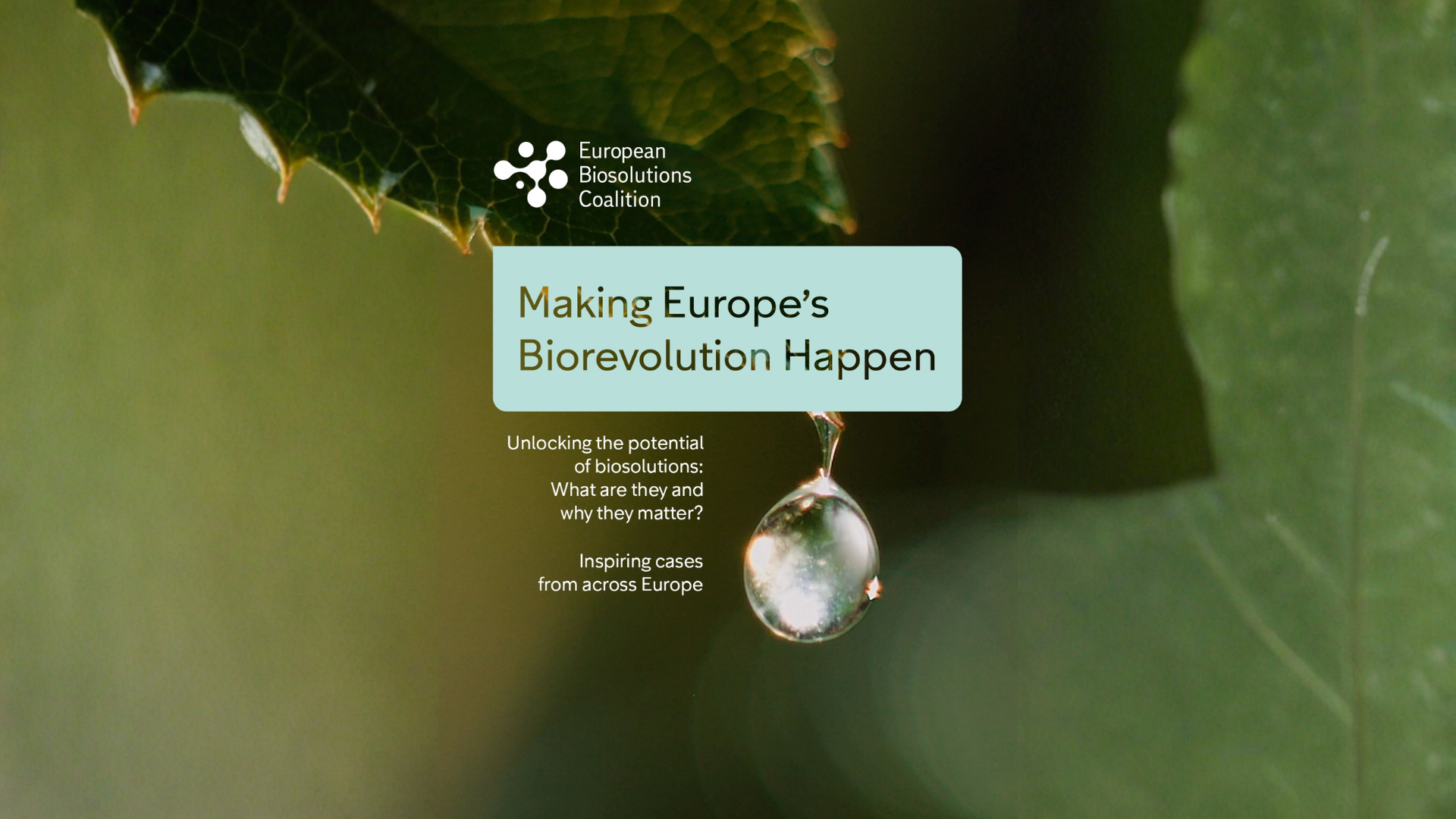 Making Europe's Biorevolution Happen - Futerro